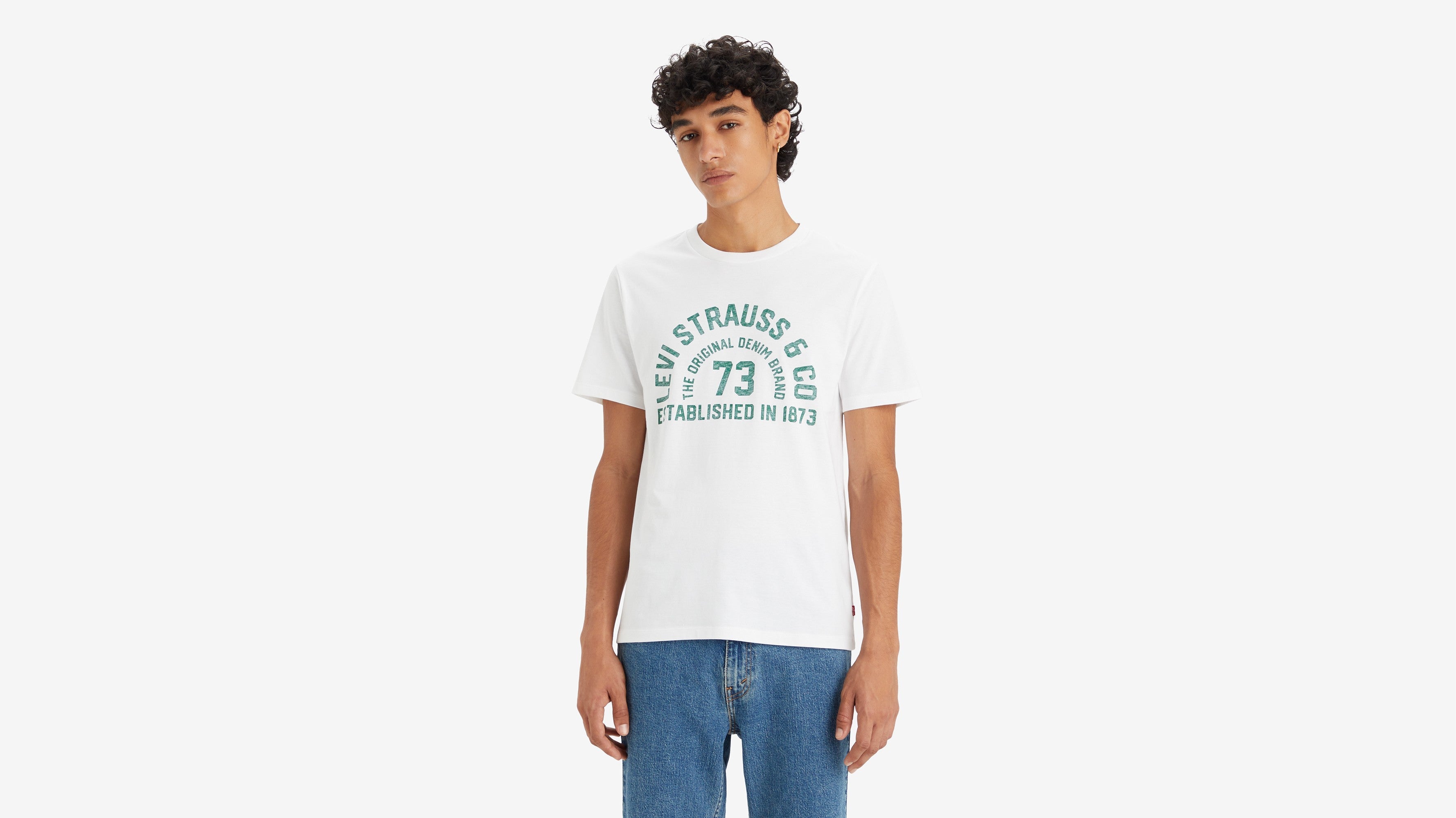 Levi's® Men's Classic Graphic T-Shirt - Levis Arched Type 73 White+ ...